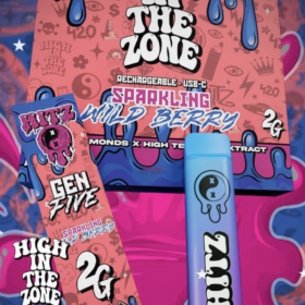 Hitz Lemon Headz Gen6 Disposable - High In The Zone